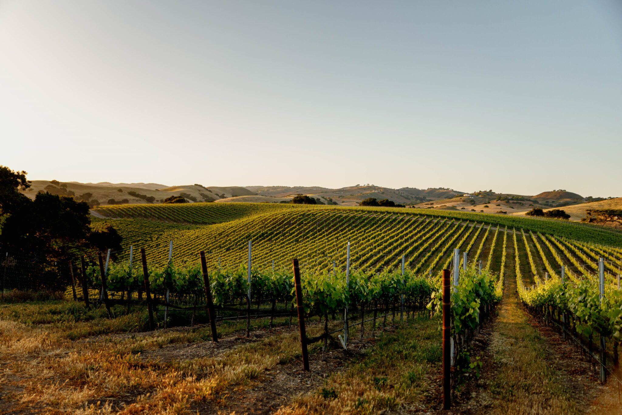 Wine Club - Brick Barn Wine Estate