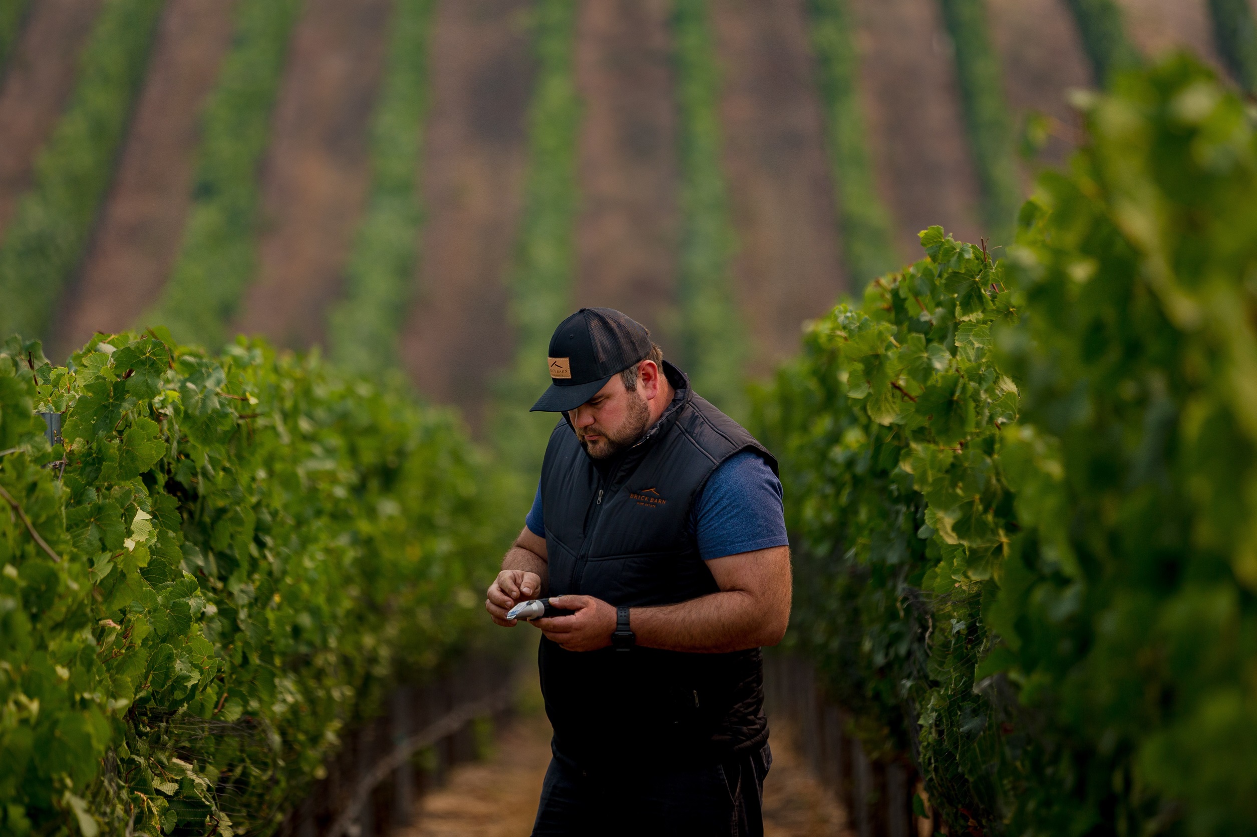 What Makes Santa Ynez Valley Wines So Unique? - Brick Barn Wine Estate